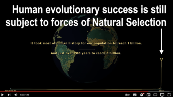 Human Homo Sapiens Population Through Time Updated In 2023