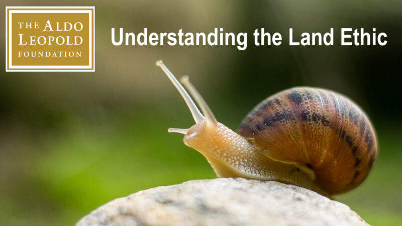 Understanding the Land Ethic | The Aldo Leopold Foundation – blog ...