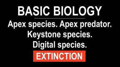BASIC BIOLOGY. Apex species. Apex predator. Keystone species. Digital ...