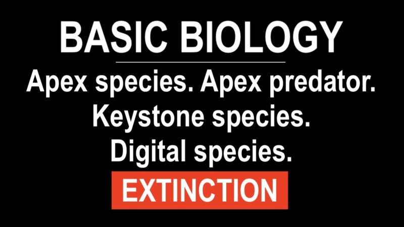 BASIC BIOLOGY. Apex species. Apex predator. Keystone species. Digital ...