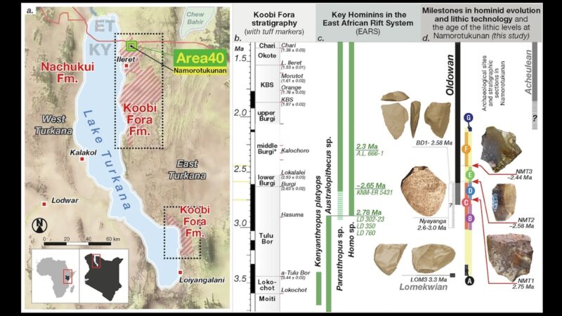 Early Hominids Sustainably Shared Tool Knowledge for 15,000 Generations ...